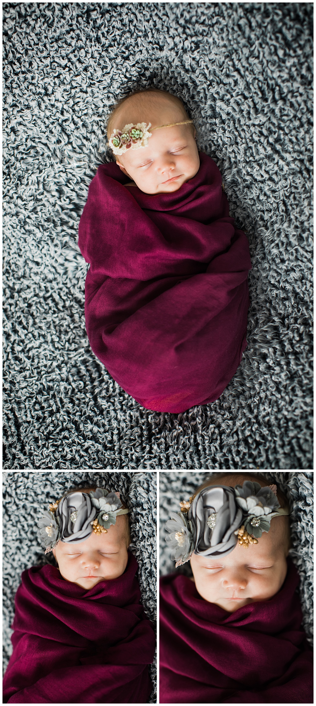 Elaina and her family~Duvall, WA – Amber Lee Photography